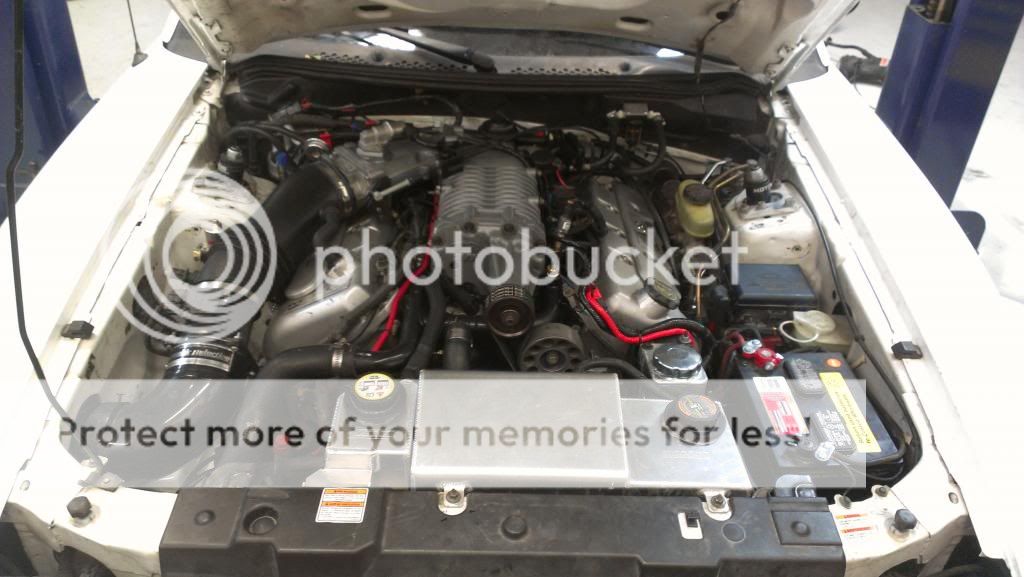 03/04 cobra engine swap into 96-98 cobra | Ford Mustang Forums