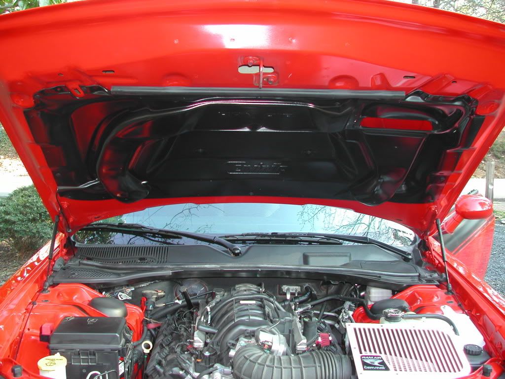 Engine Half Covers | Dodge Challenger Forum